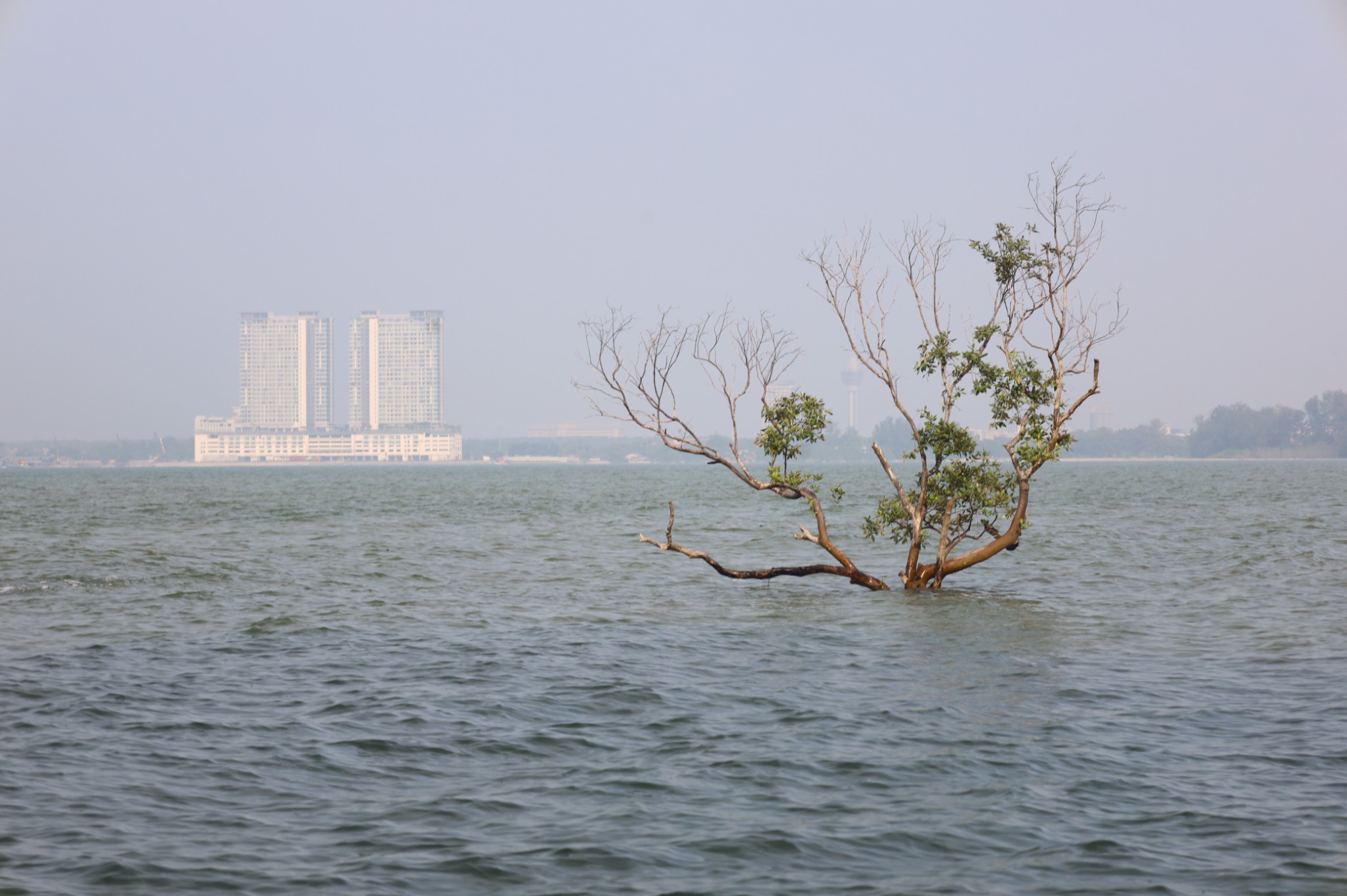 马来西亚全十三州极简攻略 - 蚂蜂窝